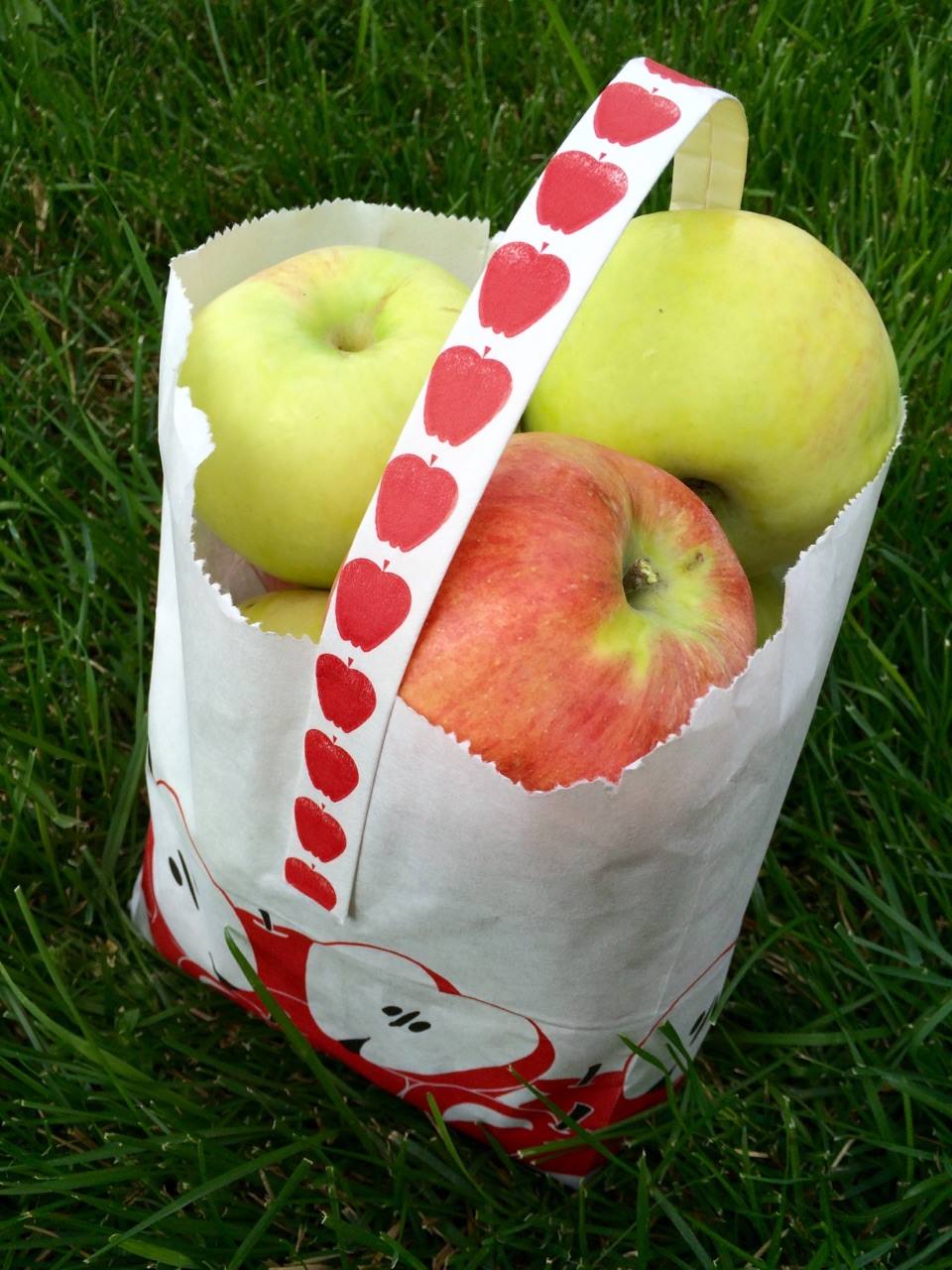 Apples - Green Bench Orchard